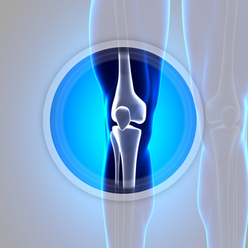 Knee – Ali Orthopedics